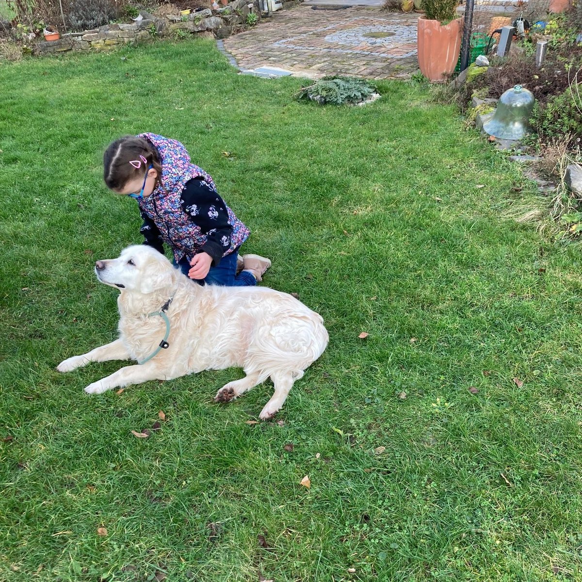 Mattea und ihr Assistenzhund